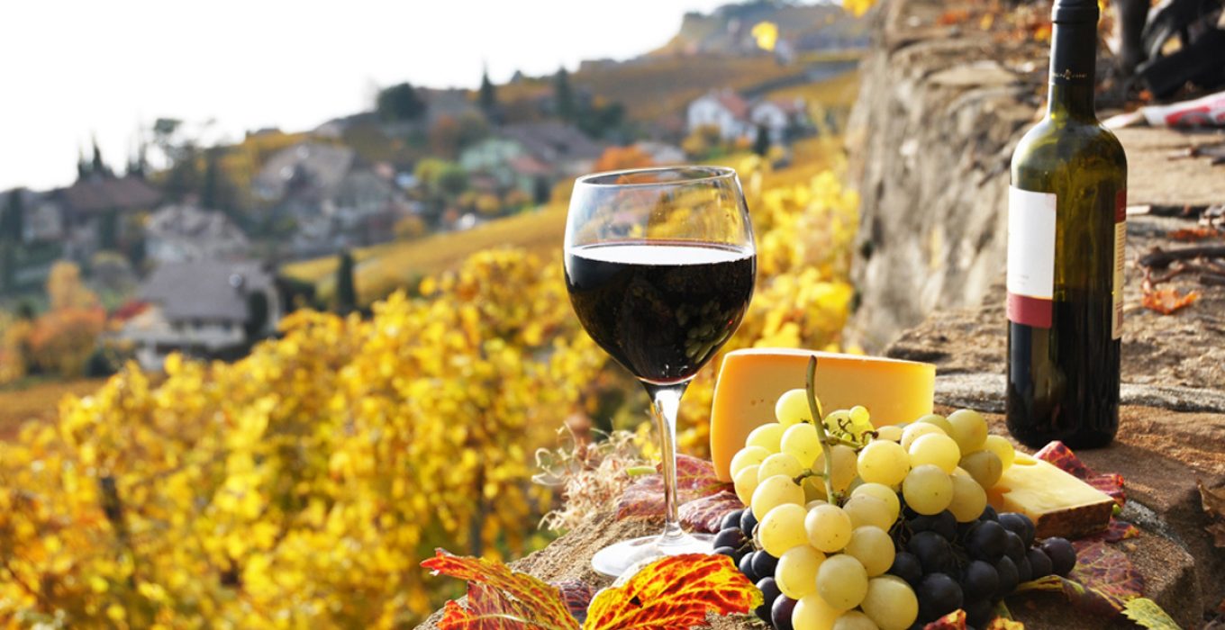 6 vinos españoles más populares | ¿Te animas a probarlos?